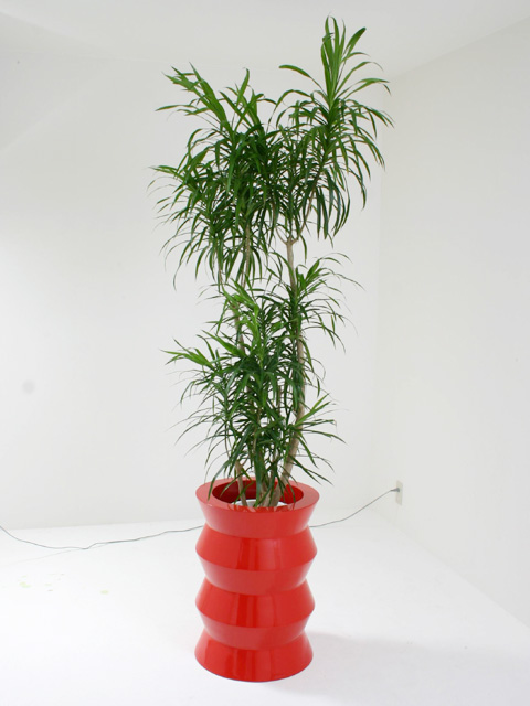 groove-05 | HITOTOKI by MAKIMO PLANT