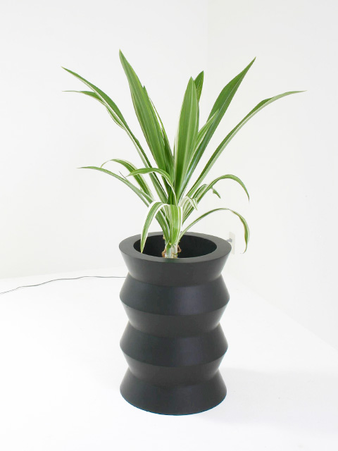 groove-09 | HITOTOKI by MAKIMO PLANT